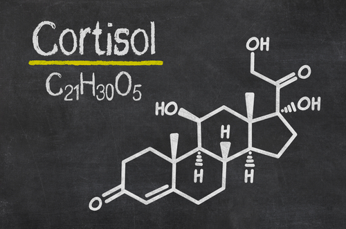 The Relationship Between Testosterone And Cortisol