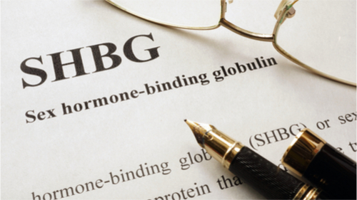 The Importance Of Sex Hormone Binding Globulin Shbg For Healthy
