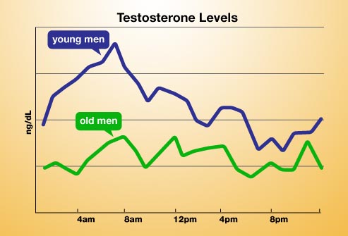Exercise Optimizes Testosterone Production